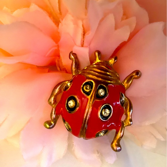 ladybug brooch | Jewelry | Vintage Red Enamel Ladybug Brooch With ...